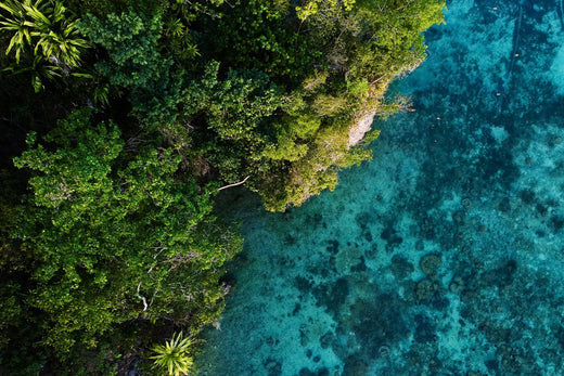 Nature’s Wonders: Togean Islands – Explore Indonesia’s Hidden Paradise ...